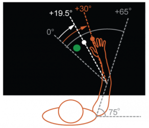 Human Motor Control and Motor Learning